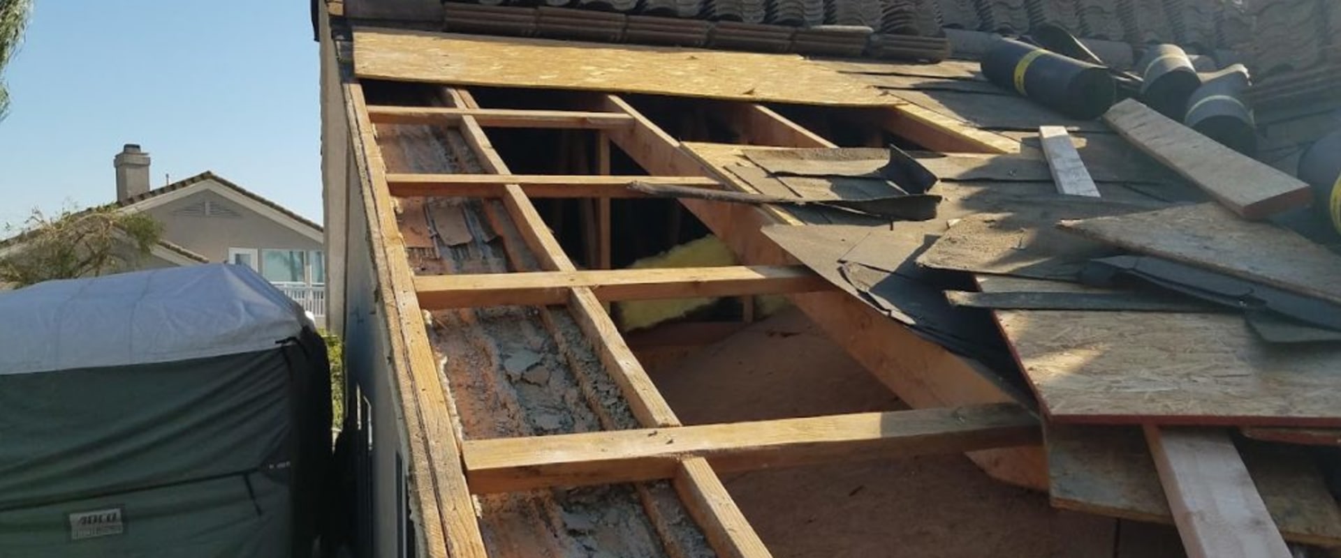 The Importance Of Regular Pest Control Service For Maintaining Timber ...